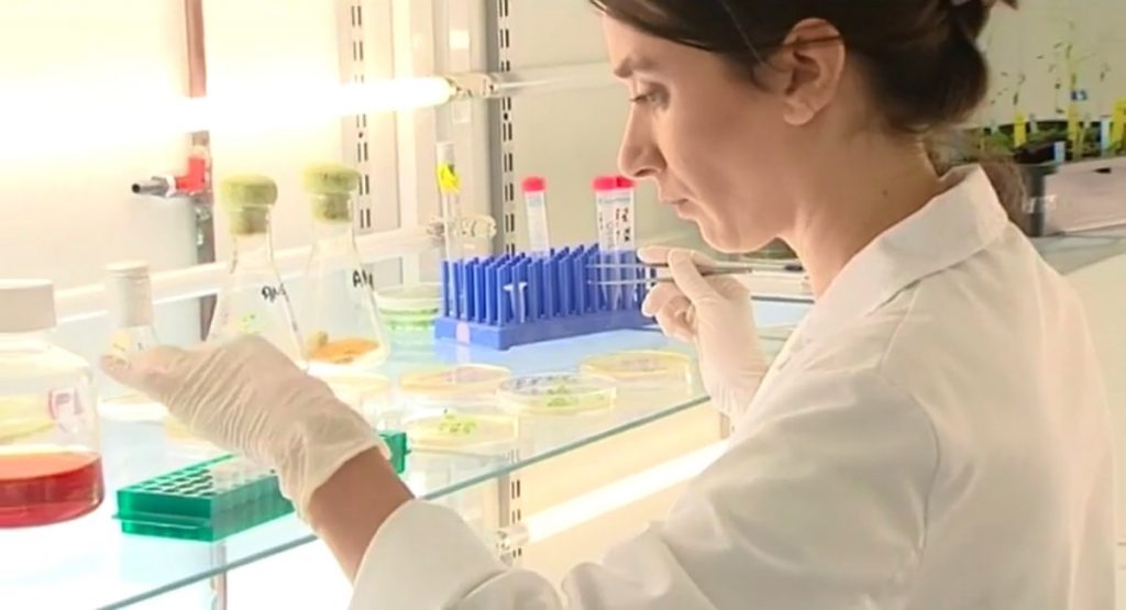 Astrobiología 1 - Cómo nacen y crecen las estrellas - Exoplanets